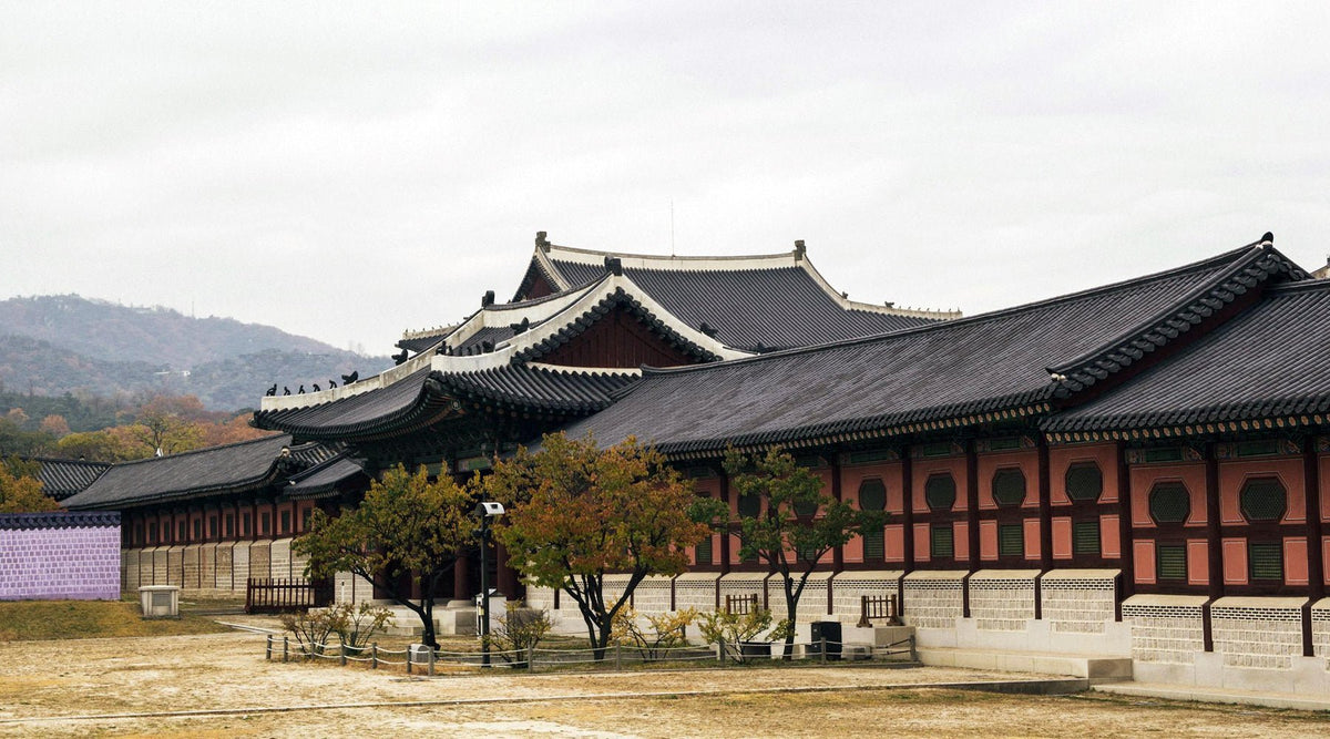 The 5 Tenets of Taekwondo and What They Mean – Tee Shop USA